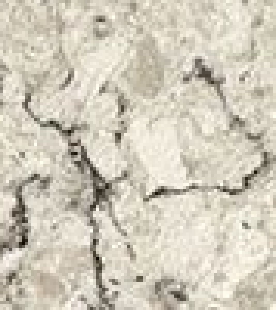 Quartz Natural - Booms Stone Company